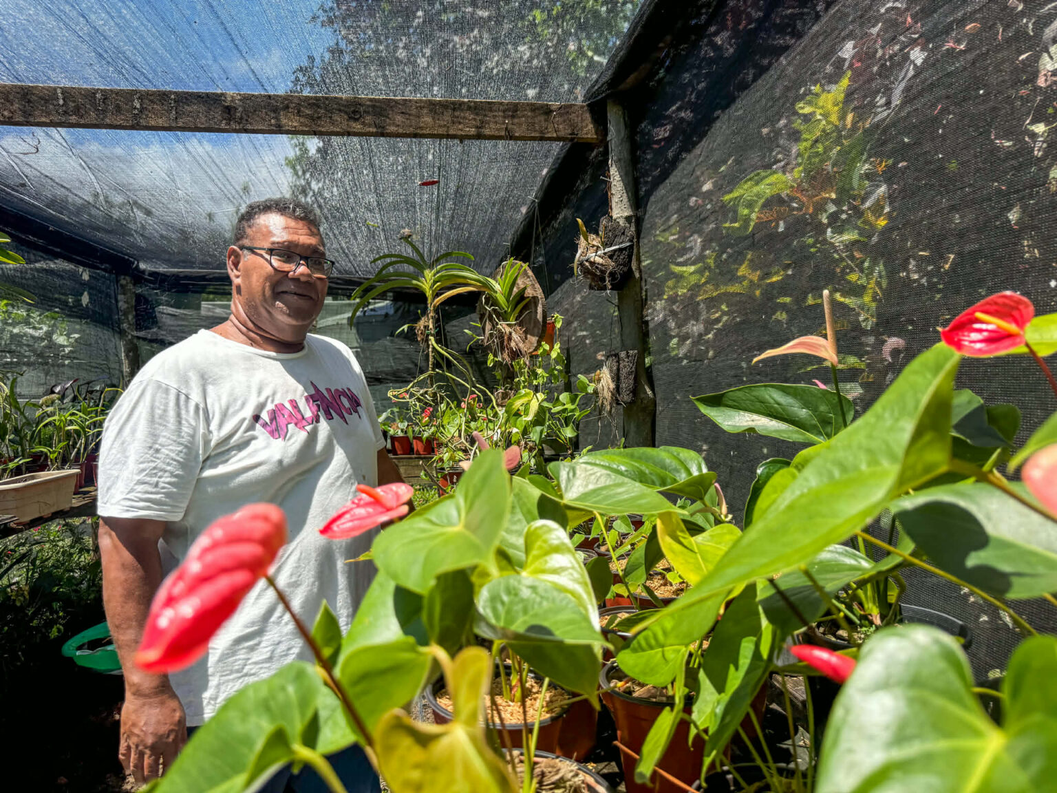 Women's Fund Fiji - Taveuni Women’s Empowerment Support Group Pushes ...