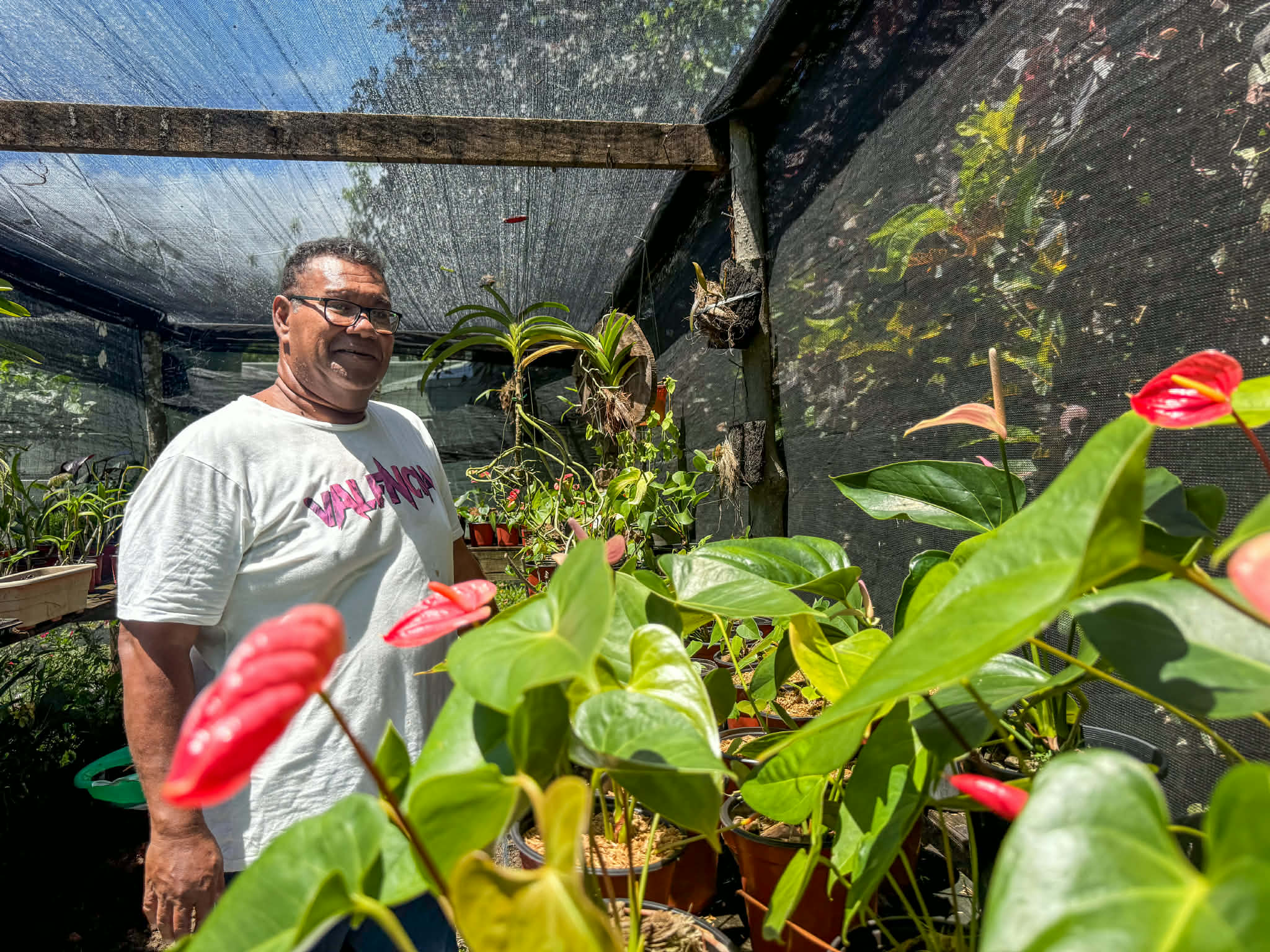 Women's Fund Fiji - Taveuni Women’s Empowerment Support Group Pushes ...